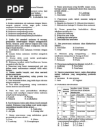 Latihan Soal Sistem Pencernaan Manusia Kelas 8 | PDF | Kesehatan Holistik