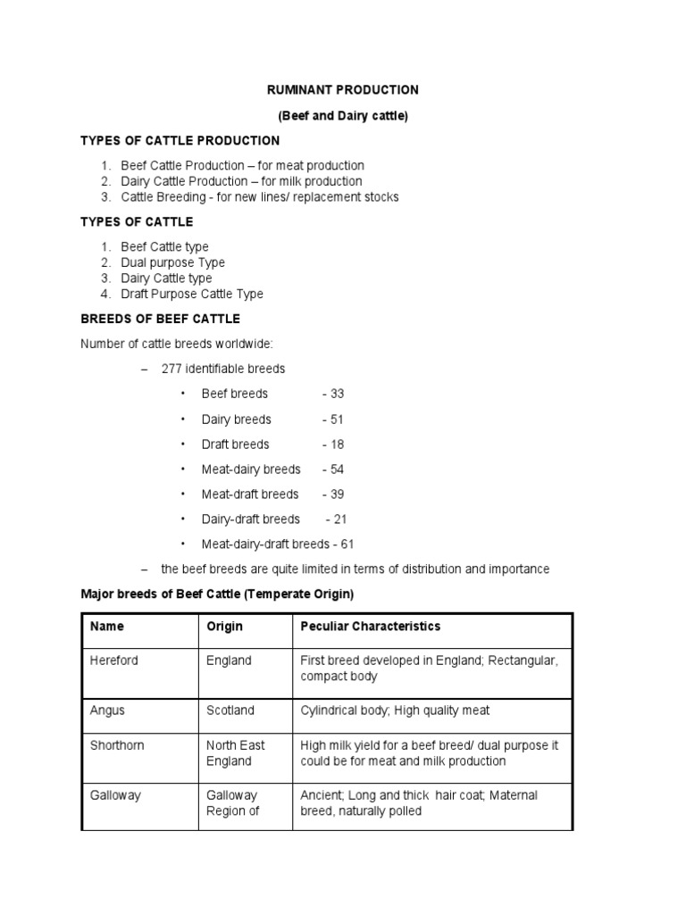 Beef and Dairy Cattle | PDF | Cattle | Agriculture