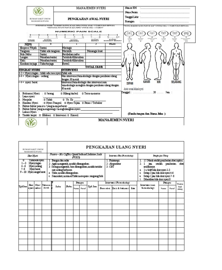 FORM Asesment & REasessment Nyeri | PDF