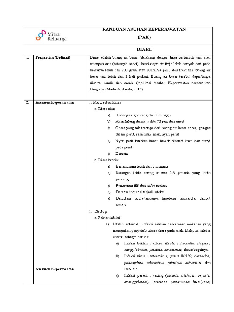 PAK DIARE Rev.01 | PDF