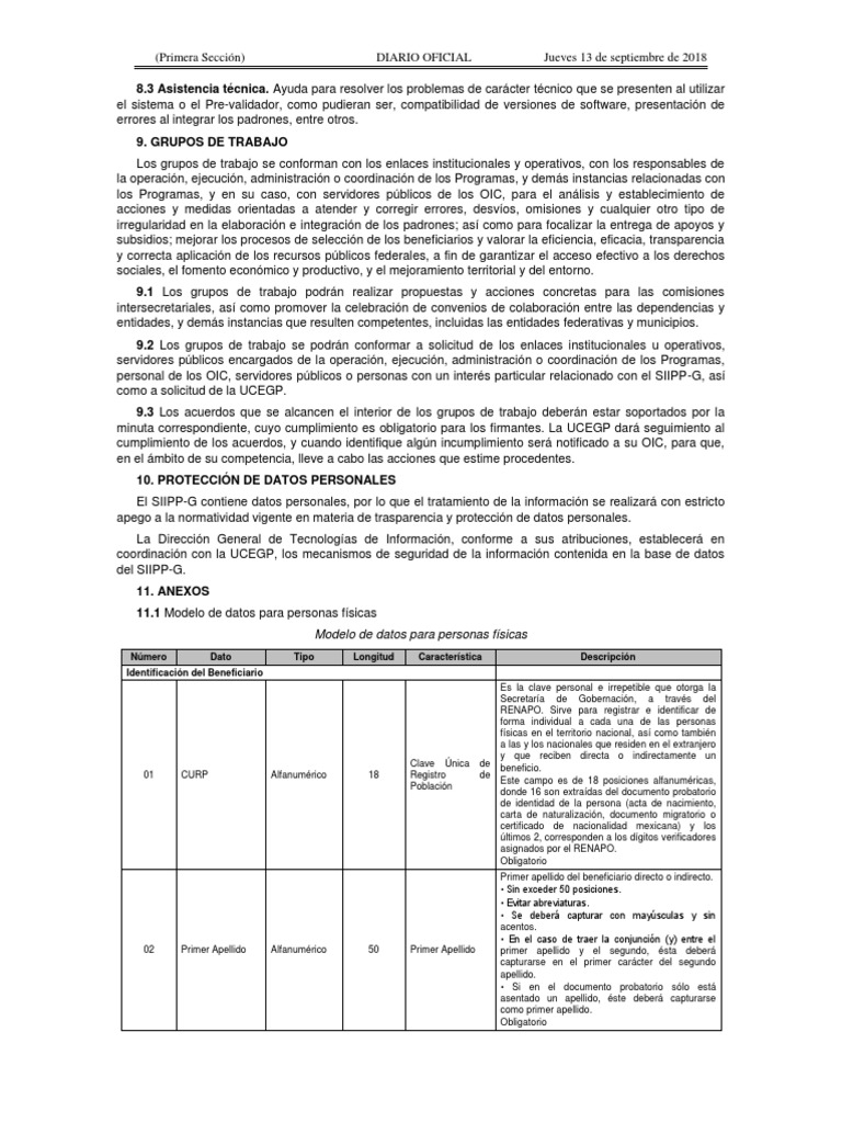 Instructivo de Llenado de Padrones de Acuerdo Al DOF - 2018 - 09 - 13 ...