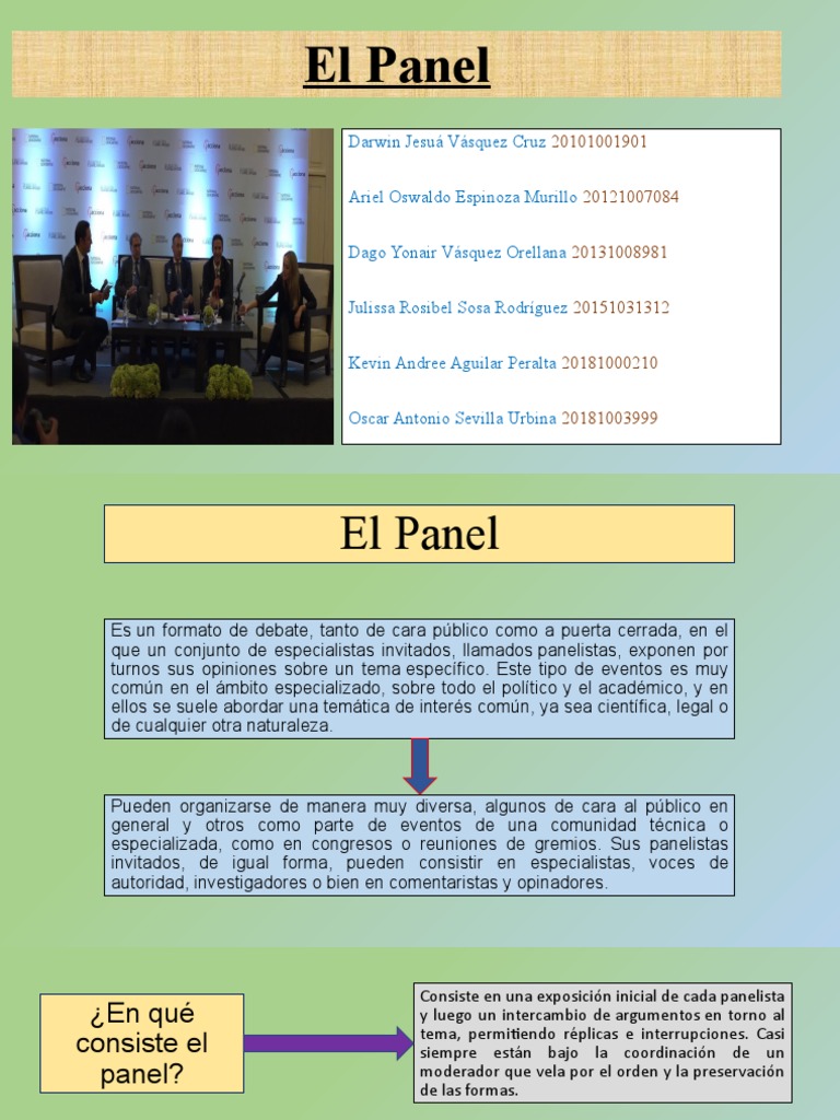 Desarrollo Del Capital Humano Sección 1100 - Grupo #1 - Técnica Del Panel | PDF