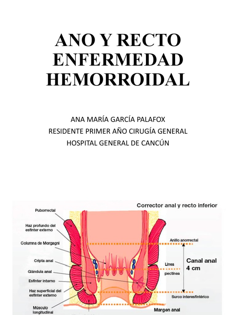 Ano y Recto 1 | Descargar gratis PDF | Hemorroides | Especialidades Medicas