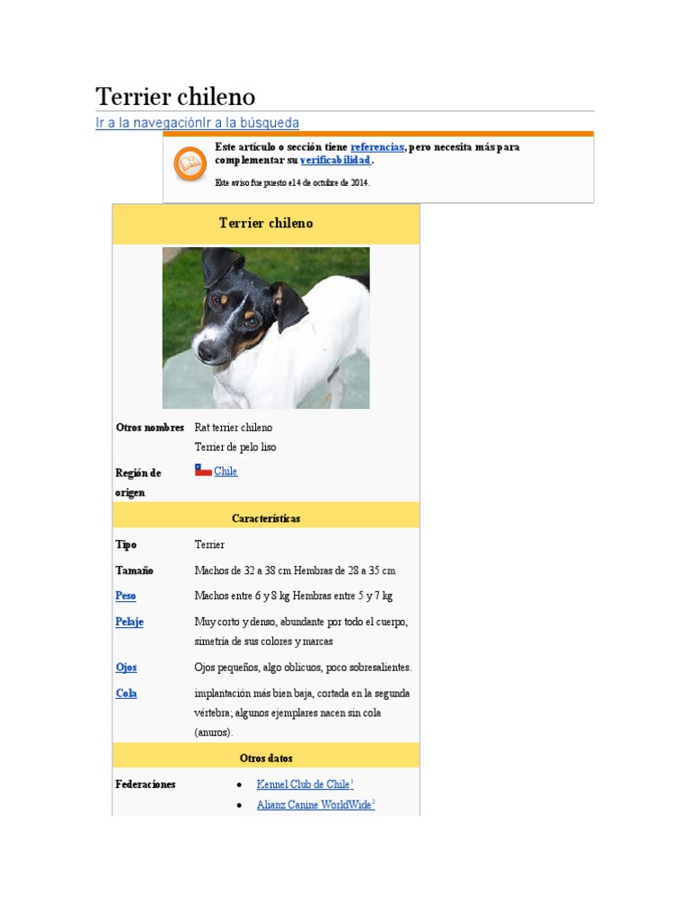 Fox Terrier Chileno | PDF | Perros | Perros de trabajo