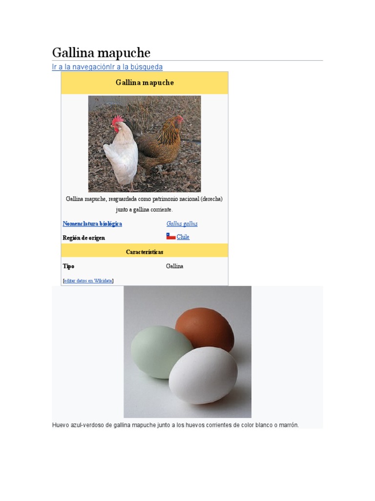 Características de la Gallina Mapuche | PDF | Aves