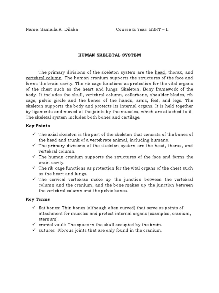 Human Skeletal System | Download Free PDF | Skeleton | Skull