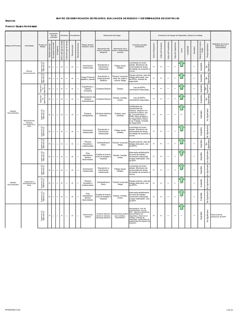 MATRIZ IPERC Ejemplo | PDF | Riesgo | Ciencias de la Salud