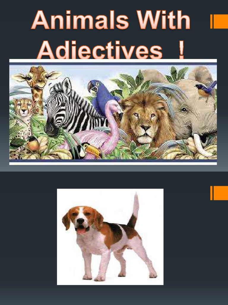 Adjectives Animal | PDF