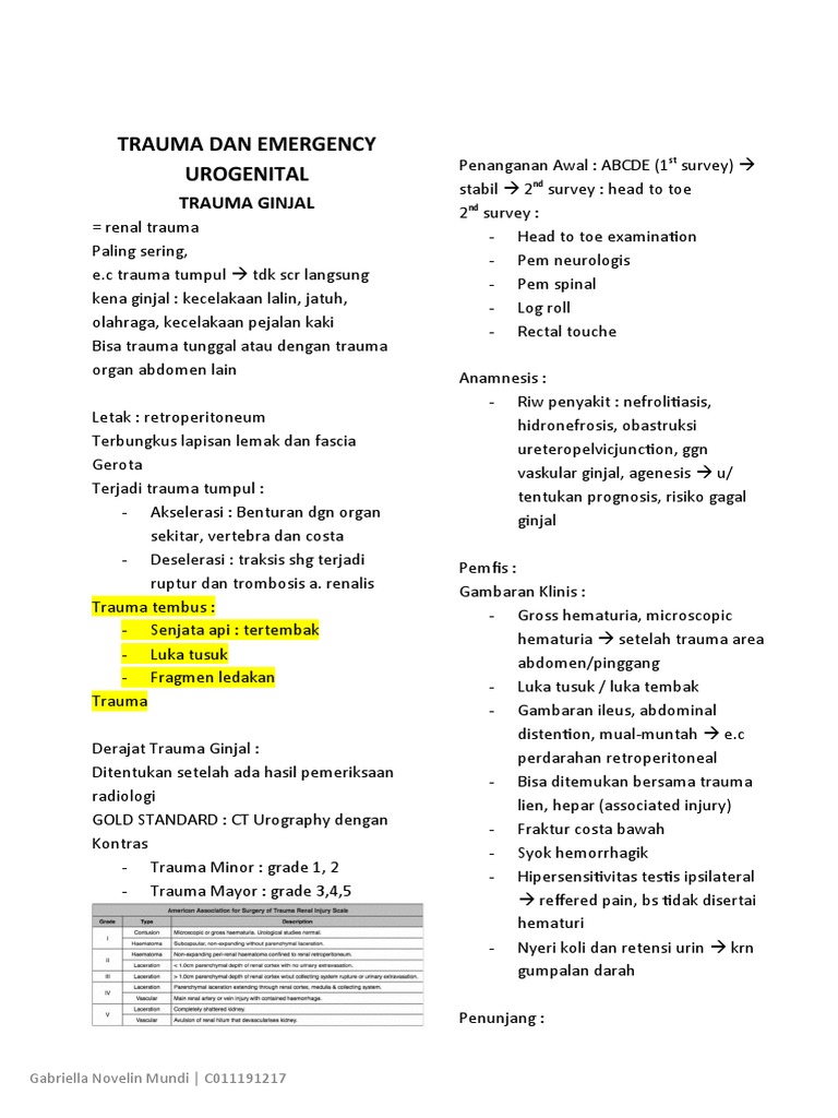 Ruptur Renal, Buli-Buli, Urethra - Dr. Syakri Syahrir, Sp.U | PDF