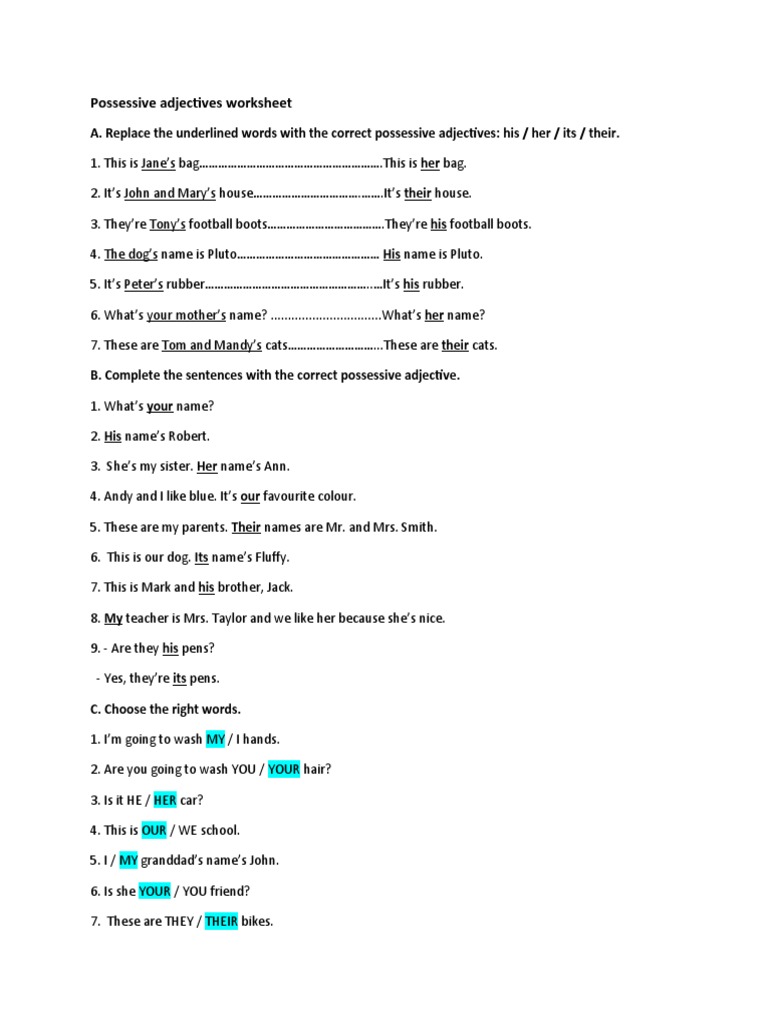 Possessive Adjectives Worksheet | PDF