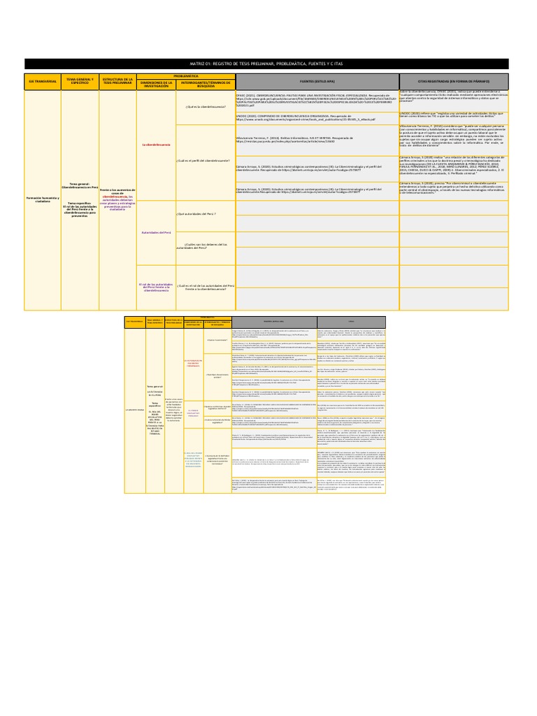 Matriz 1 - Modelo | PDF | Cibercrimen | Perú