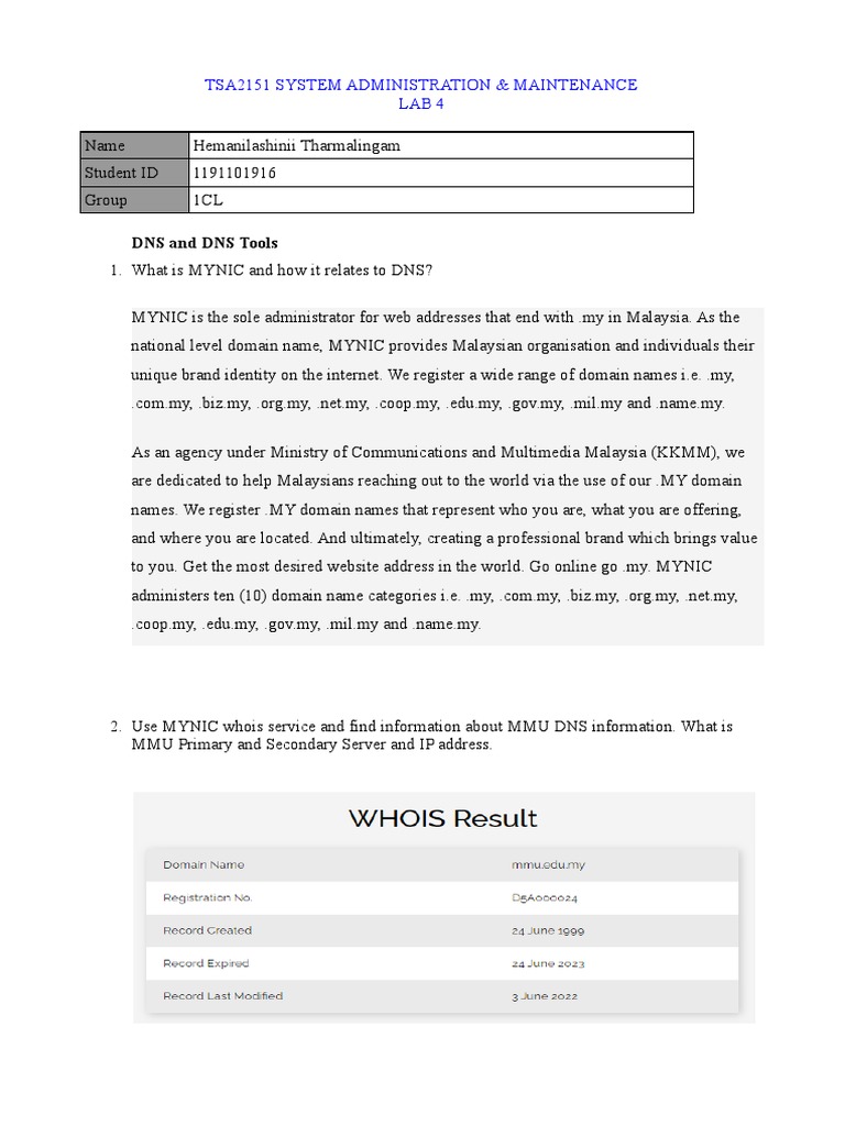 Lab 4 | Download Free PDF | Domain Name System | Domain Name