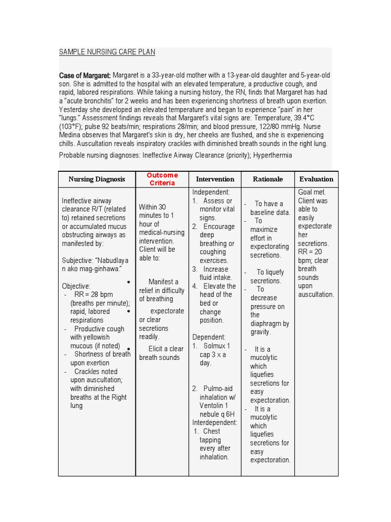 Sample Nursing Care Plan F | Download Free PDF | Breathing ...