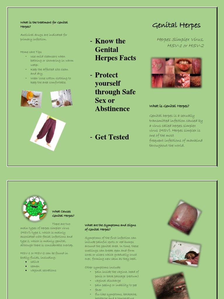 Herpes Brochure PDF | Download Free PDF | Herpes Simplex | Immunology