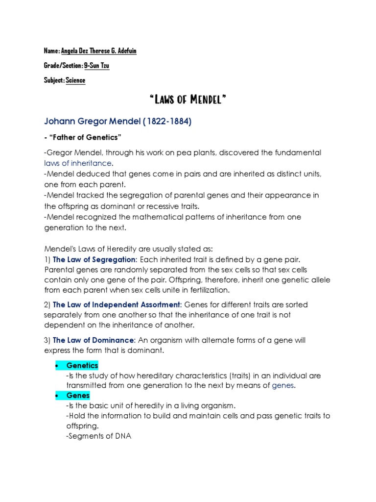 Mendel's Law | PDF | Dominance (Genetics) | Genotype