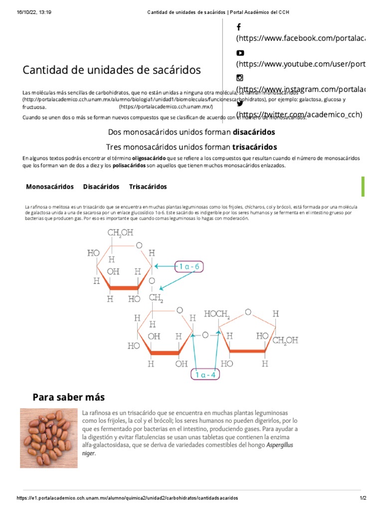 Cantidad de Unidades de Sacáridos TRISACARIDOS - Portal Académico Del ...