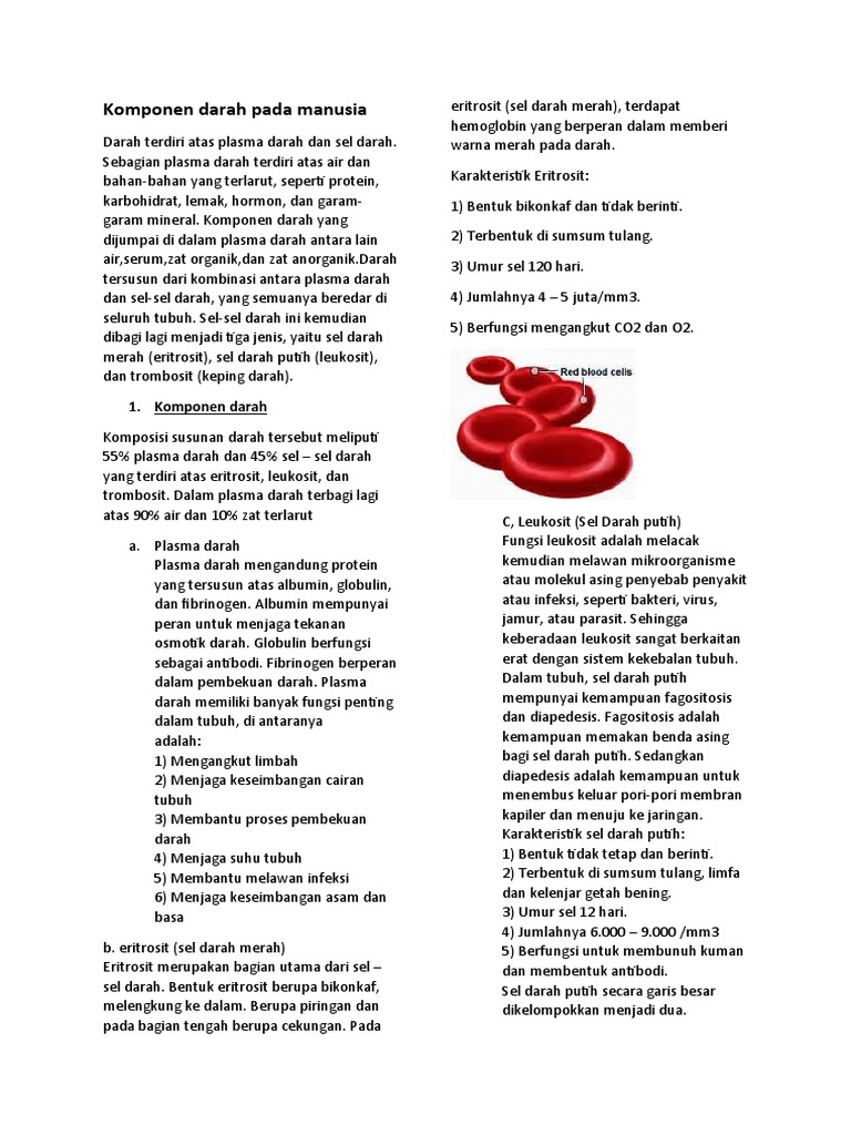 Komponen Darah Pada Manusia | PDF