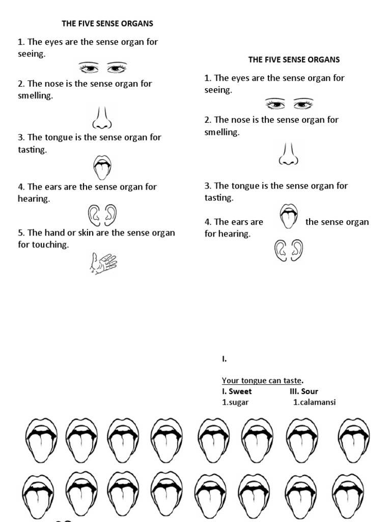 Overview of the Five Sense Organs | PDF | Cooking, Food & Wine