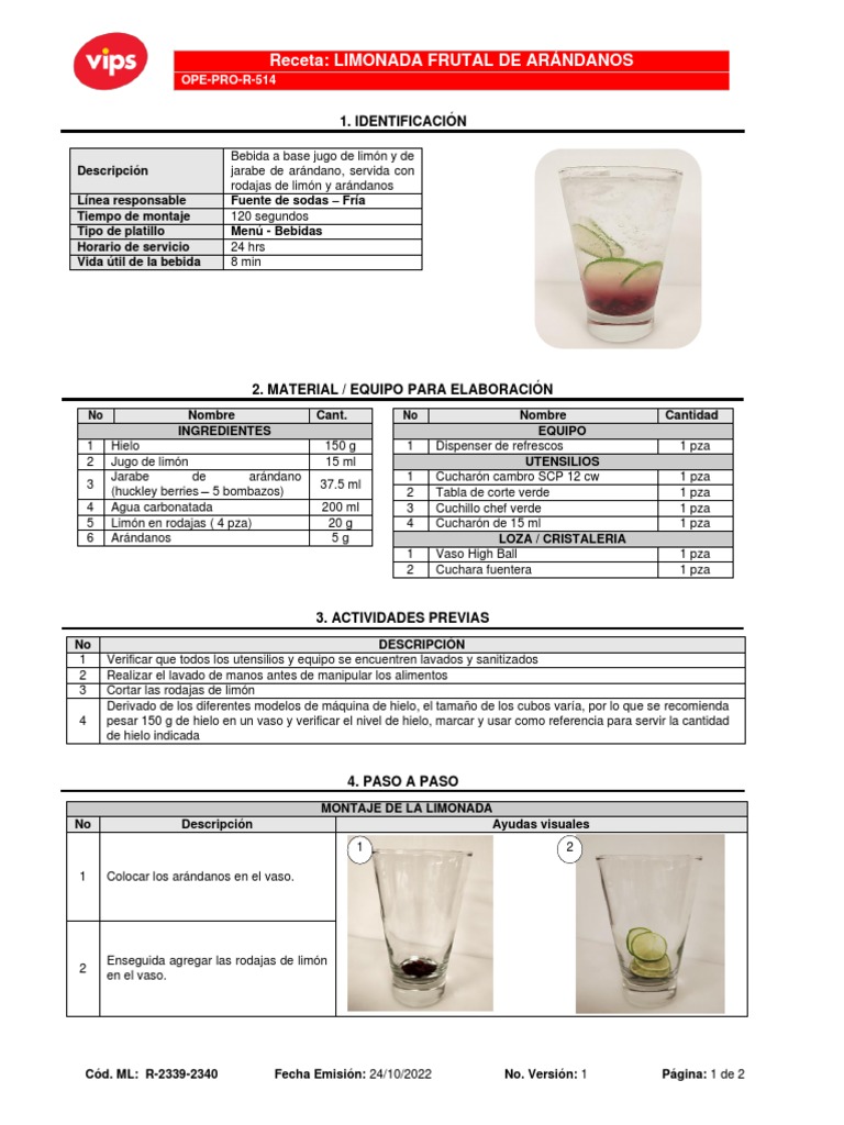 01 Limonada Frutal De Arandanos Pdf Bebida Comida Y Bebida