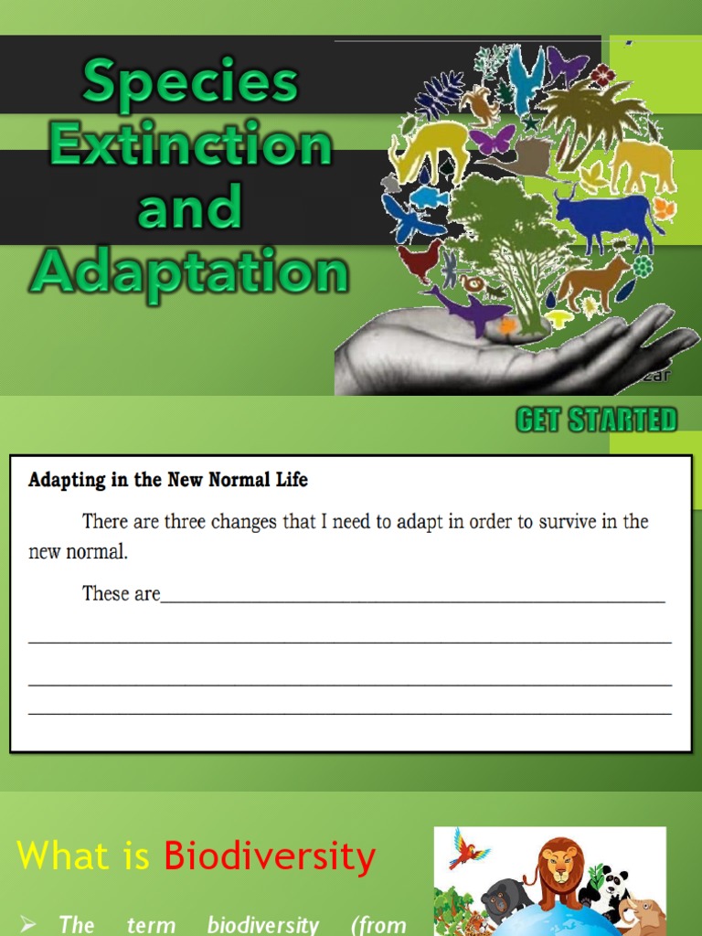 Science 9 Q1 - Week 8 Day 2 1 | PDF | Extinction | Biodiversity