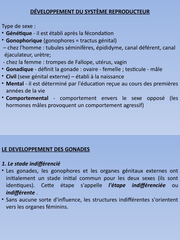 Développement Du Système Reproducteur | PDF | Testicule | Système ...