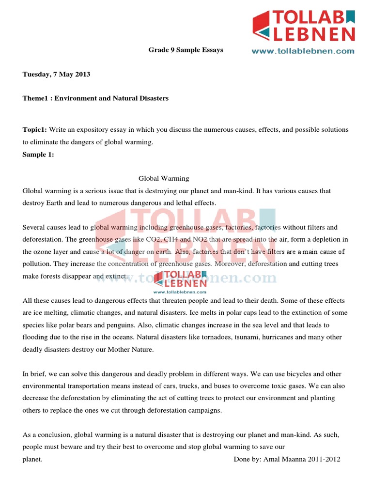 Grade 9 Essay Samples | PDF | Climate Change | Self Esteem