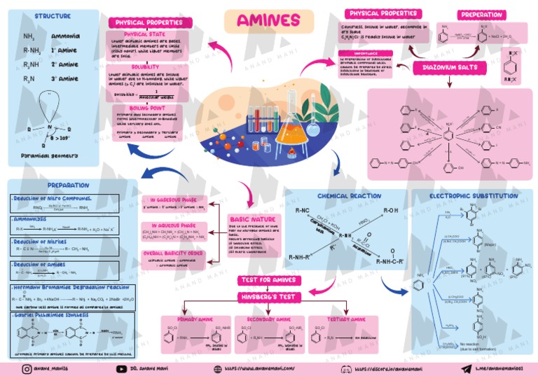 Physical and Chemical Properties of Amines: Structure, States of Matter ...