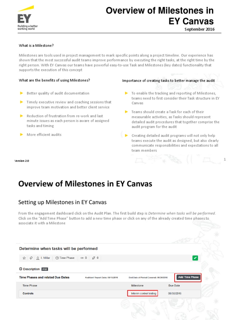 Overview of Milestones | PDF | Audit | Project Management