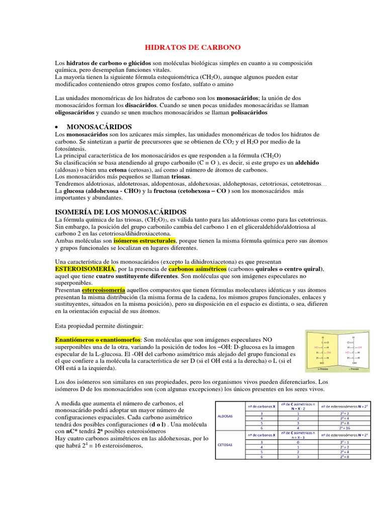 Tema 2-5 Parcial 1 (5 Temas) | PDF | Estructura proteica | Aminoácidos