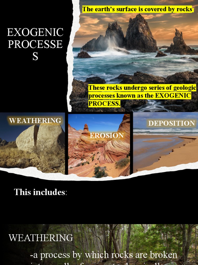 Exogenic Processes | PDF | Weathering | Rock (Geology)