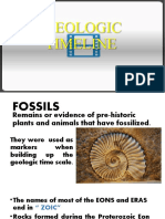 Organ System of Representative Animals | PDF