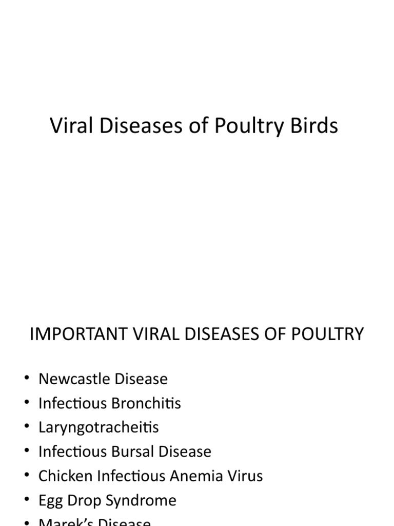 Lec 5 New Castle Disease | PDF | Microbiology | Epidemiology