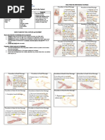 Nail Care Tools and Equipment Guide | PDF | Nail (Anatomy) | Materials