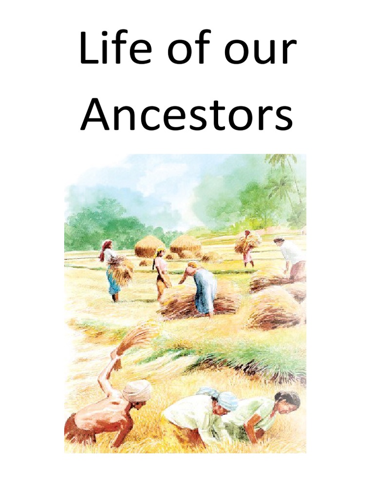 Life of Our Ancestors | PDF | Agriculture | Cattle
