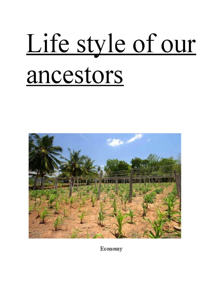 Chena Cultivation | PDF | Agriculture | Cereals