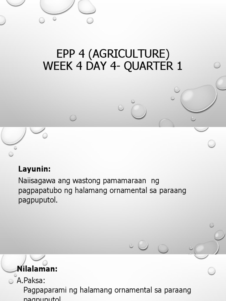 EPP 4 WEEK 4 DAY 4 QTR1 Agriculture | PDF