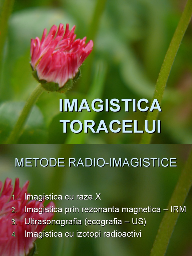 LP2 - Torace Normal | PDF