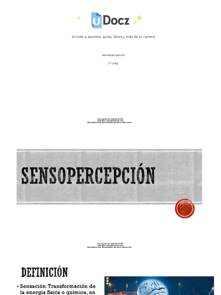 Sensopercepcion 81521 Downloable 1444640 | Descargar gratis PDF | Percepción visual | Ciencia ...