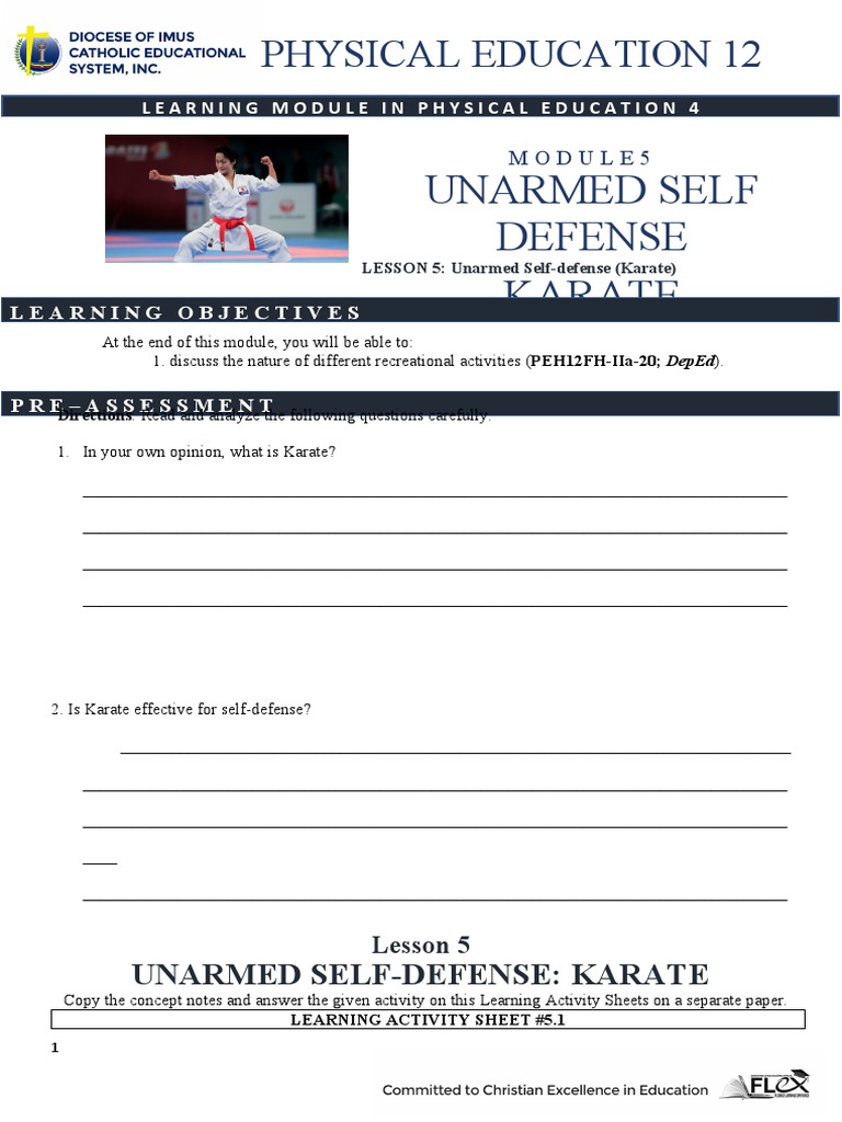 An Analysis of Ten Styles of Karate and Their Applications for Unarmed ...