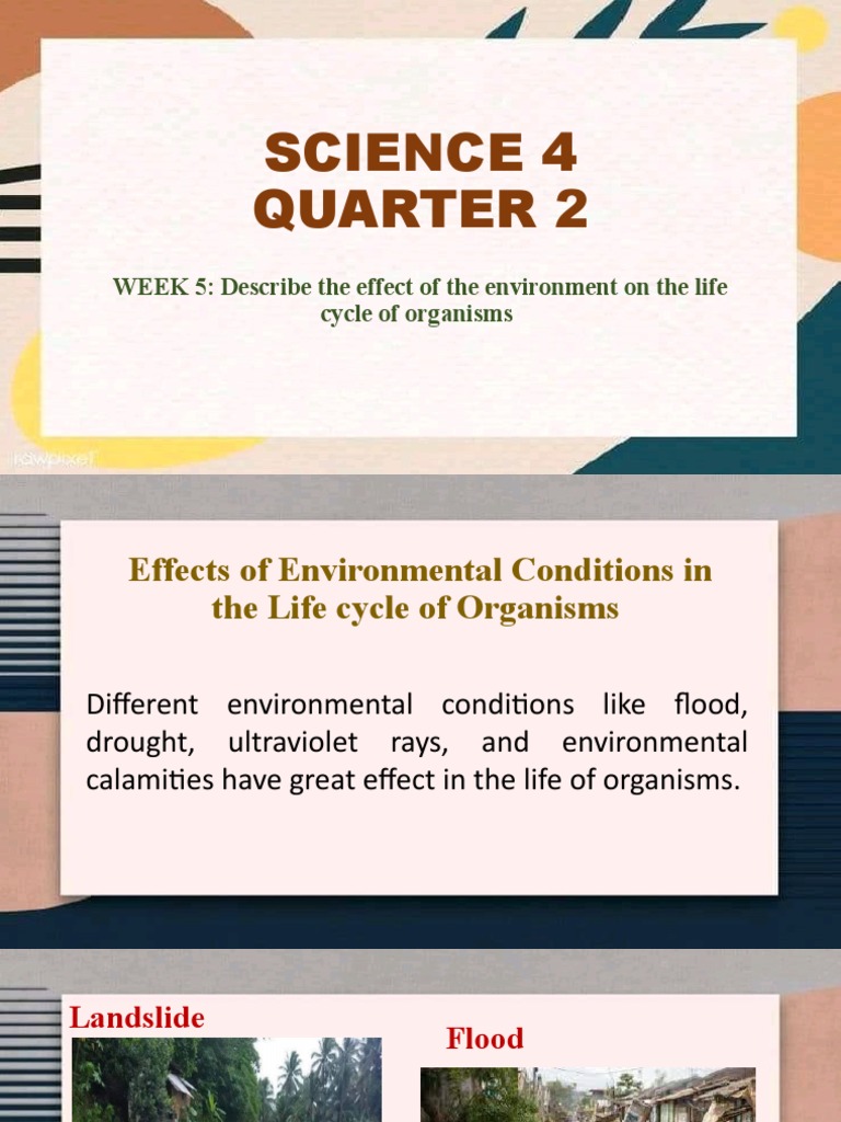 Environmental Impacts on Organism Life Cycles | PDF