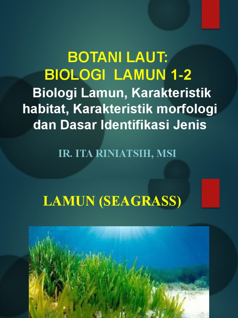 Botani Laut-Biologi Lamun 1-2 | PDF | Griya & Taman | Sains & Matematika