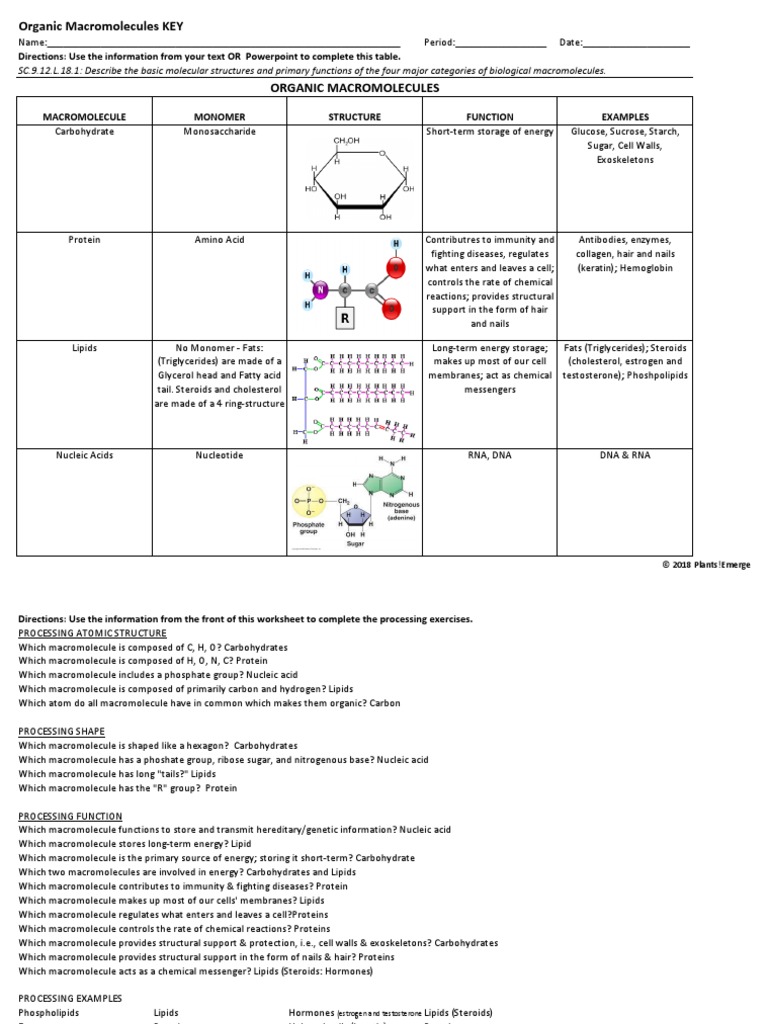 MacromoleculeWorksheetKEY-1 - Tamar Kassabian | PDF | Macromolecules ...