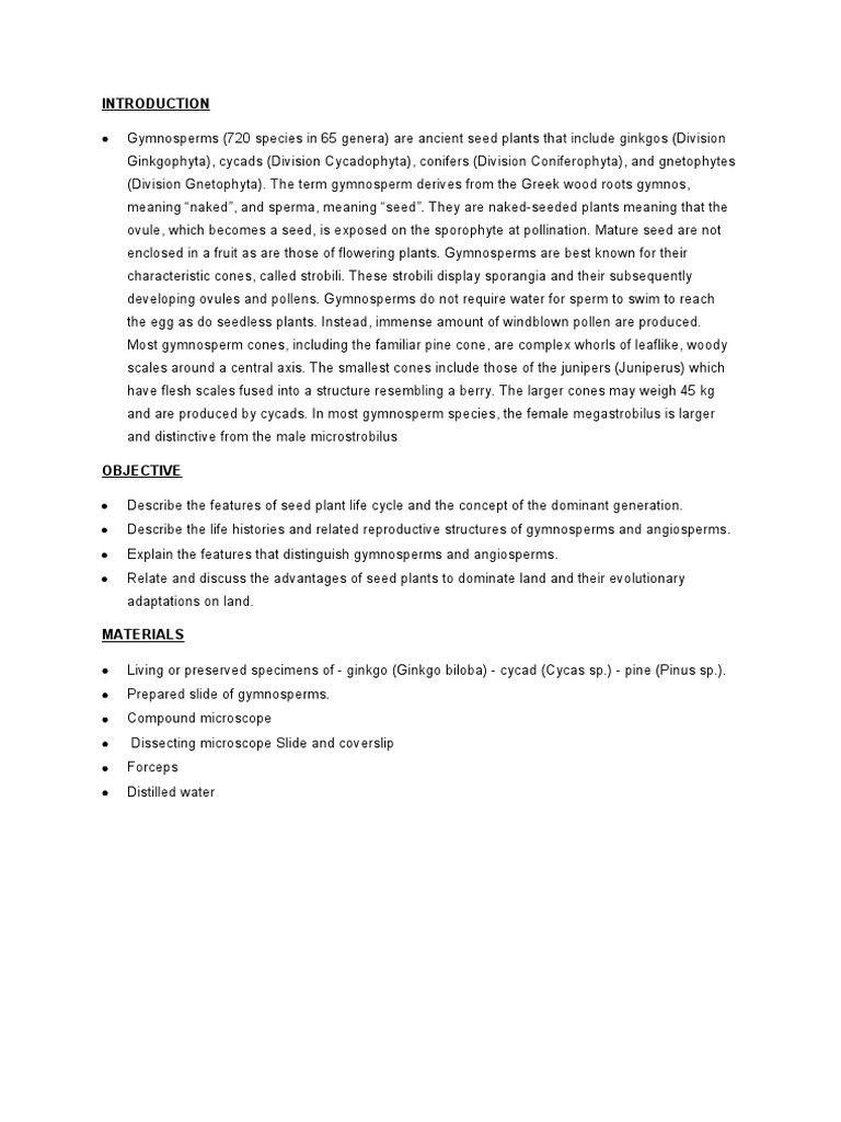 Lab Report Gymnosperm (AutoRecovered) | PDF | Seed | Plants
