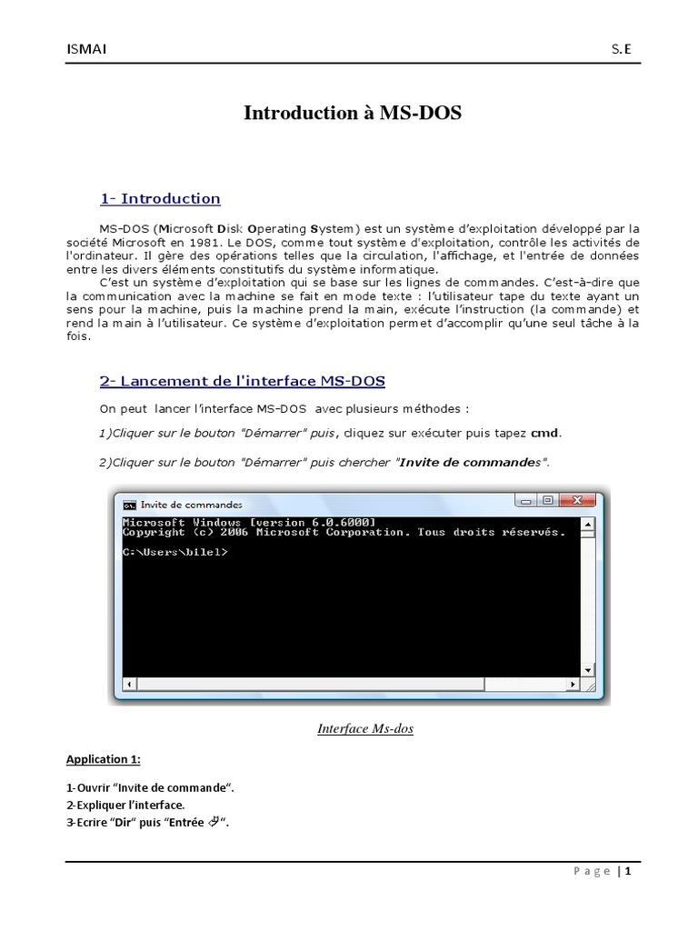 Guide Pratique MS-DOS pour Débutants | PDF | Interface en ligne de ...