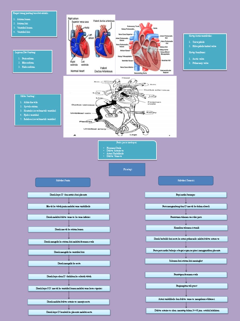 Woc Kel 1 - Pda | PDF
