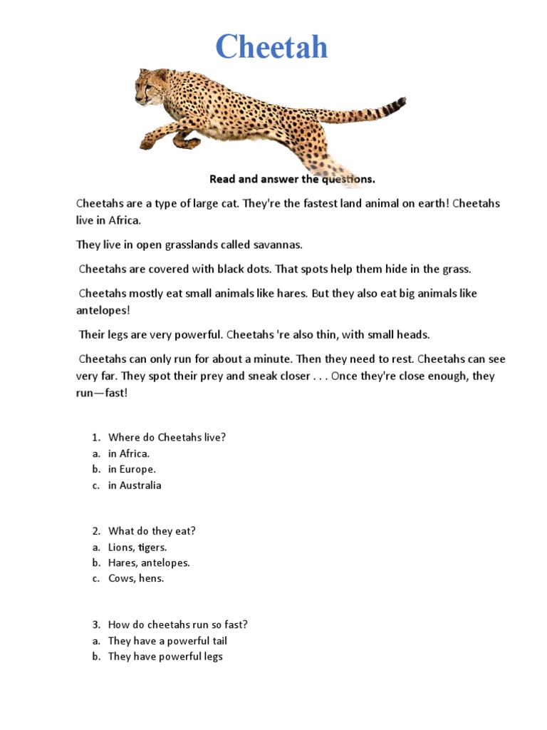 Cheetah Text For Reading Reading Comprehension Exercises 128492 | PDF