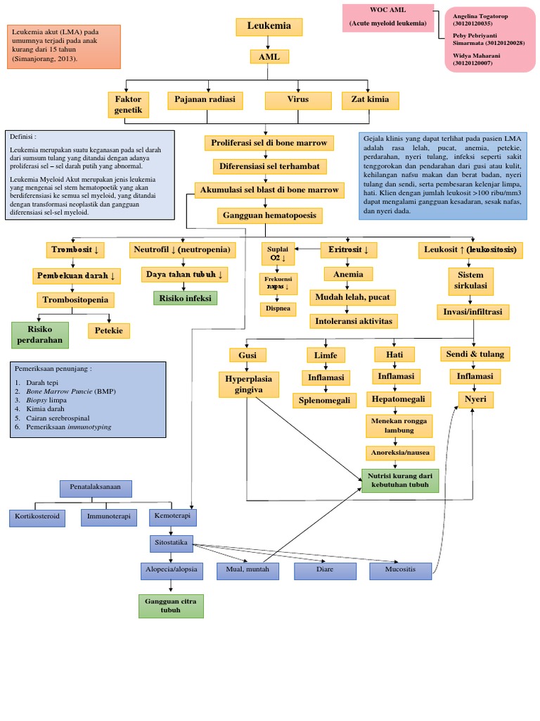 WOC AML Kel 10 | PDF