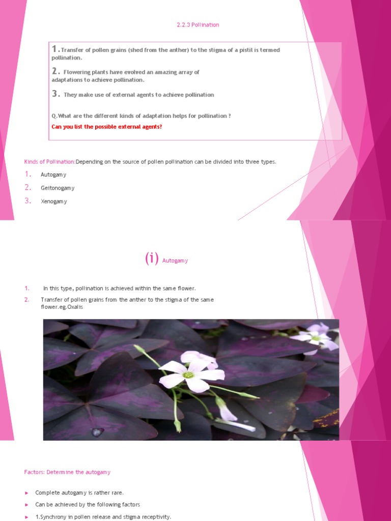 FLOWERING PLANTS CHAPTER 2-Converted-Merged | PDF | Flowers | Pollination