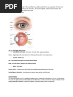 Assessment of The Eye | PDF | Visual Impairment | Retina