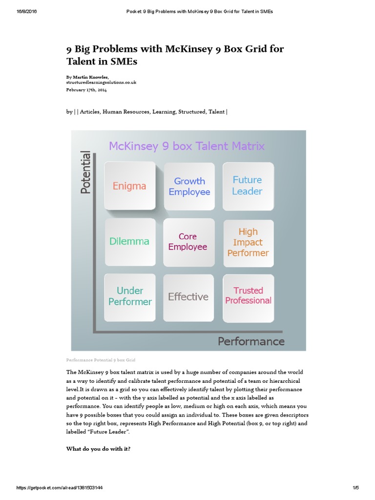 9 Big Problems With McKinsey 9 Box Grid For Talent in SMEs | PDF ...